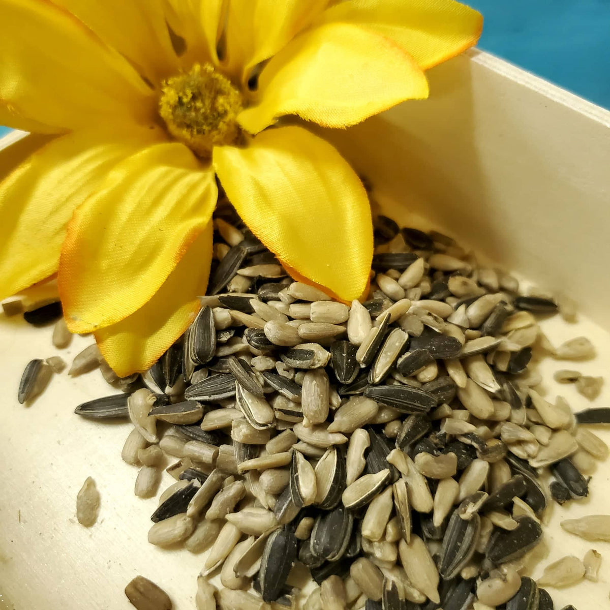 50lb. Birdseed — River Feeds