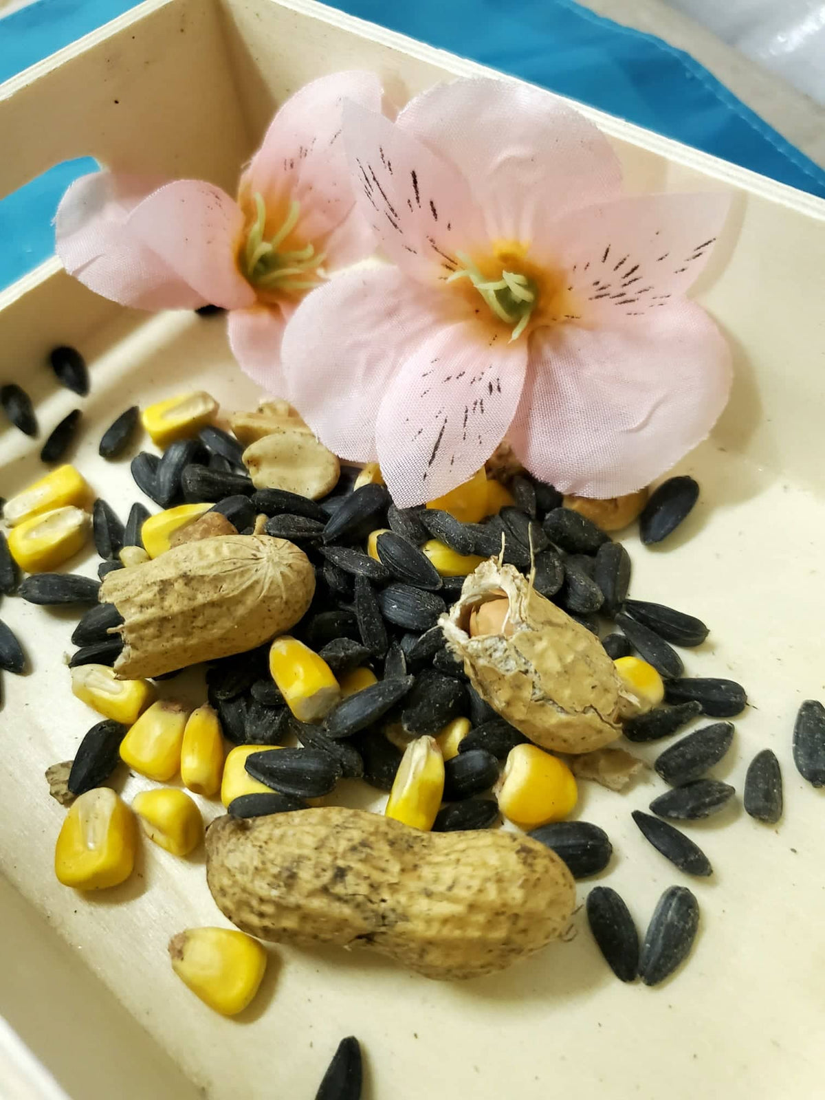 10lb. Birdseed — River Feeds