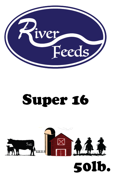 Super 16 — River Feeds